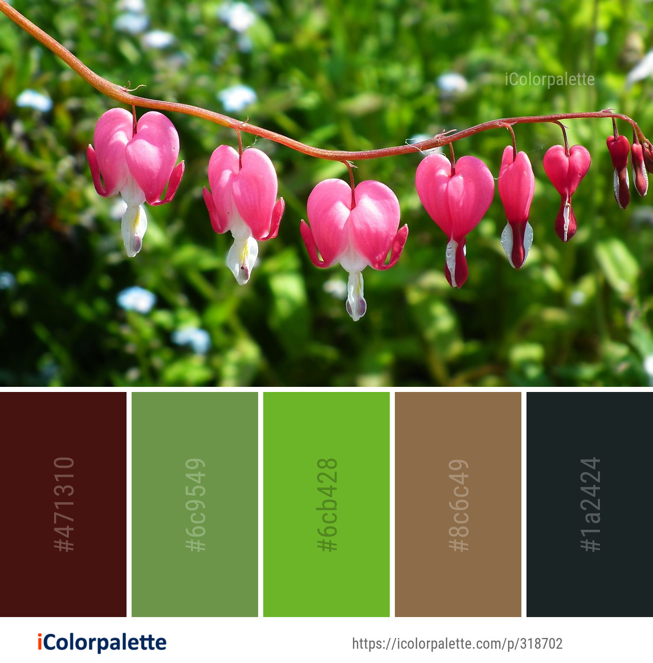 Color Palette Ideas from Flora Plant Flower Image | iColorpalette