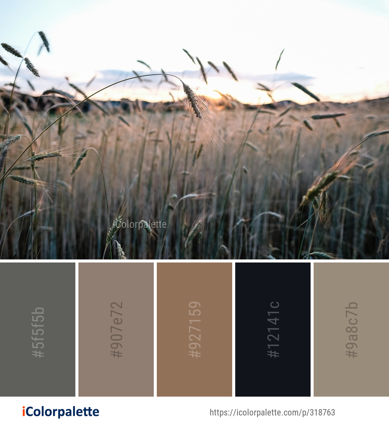 Color Palette Ideas from Vegetation Grass Family Image | iColorpalette