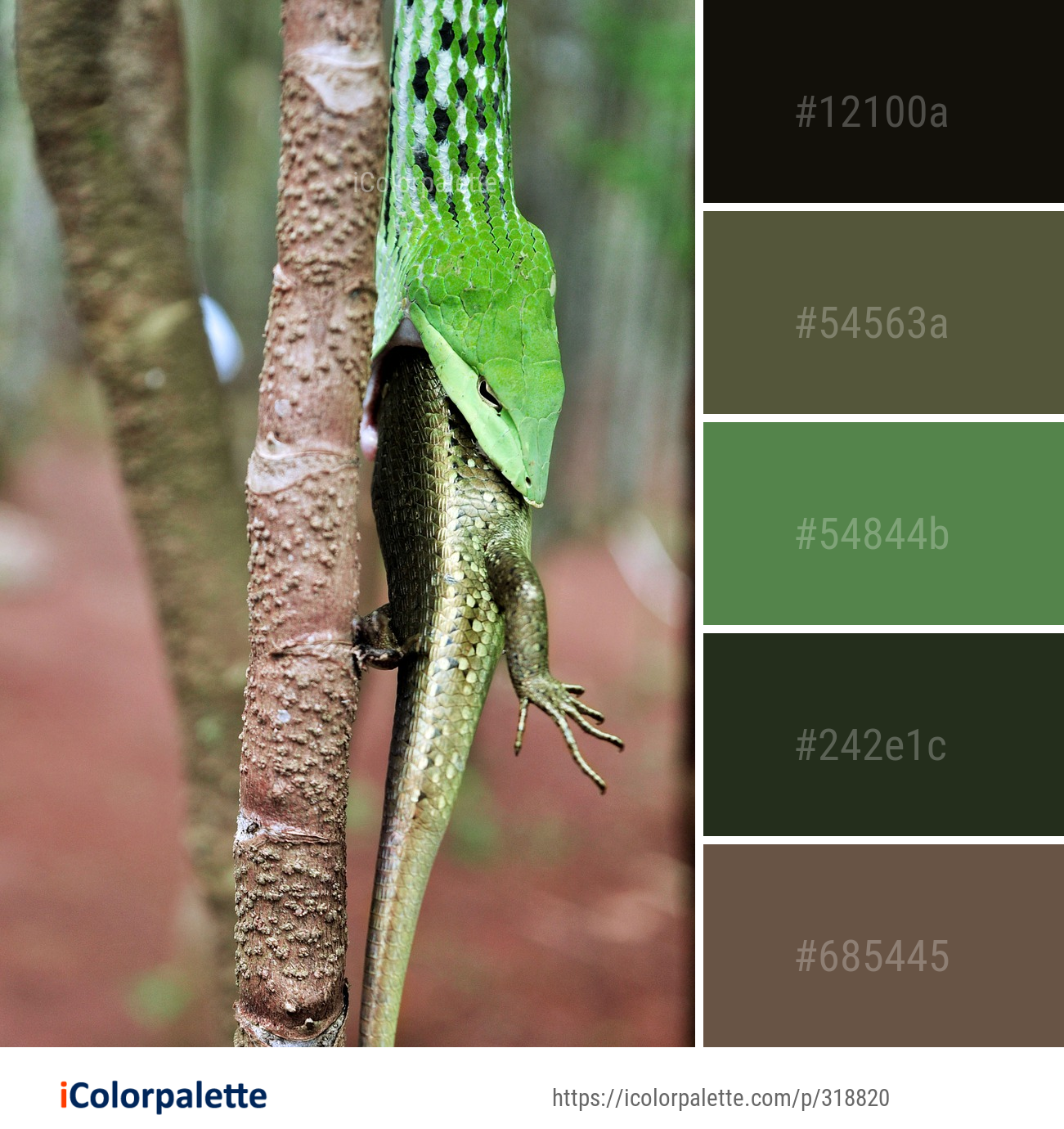 Color Palette Ideas from Reptile Lizard Scaled Image | iColorpalette