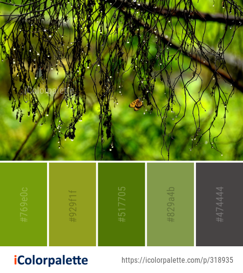 Color Palette Ideas from Water Vegetation Green Image | iColorpalette