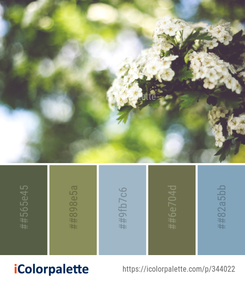 Color Palette Ideas from Flower Spring Flora Image | iColorpalette