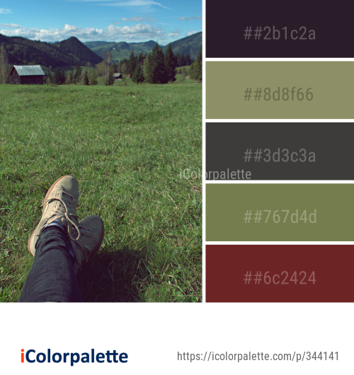 Color Palette Ideas from Grassland Grass Mountainous Landforms Image ...
