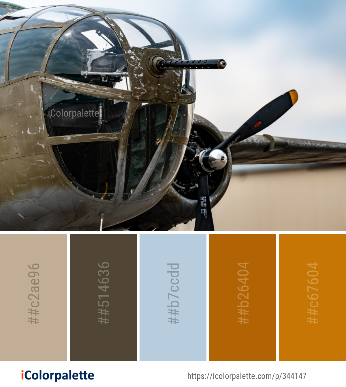 Color Palette Ideas from Motor Vehicle Aviation Image | iColorpalette