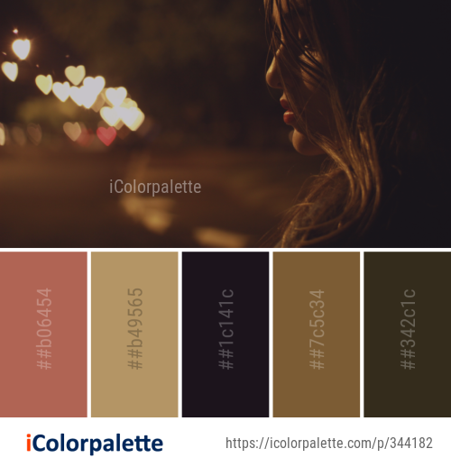 Color Palette Ideas from Darkness Light Night Image | iColorpalette