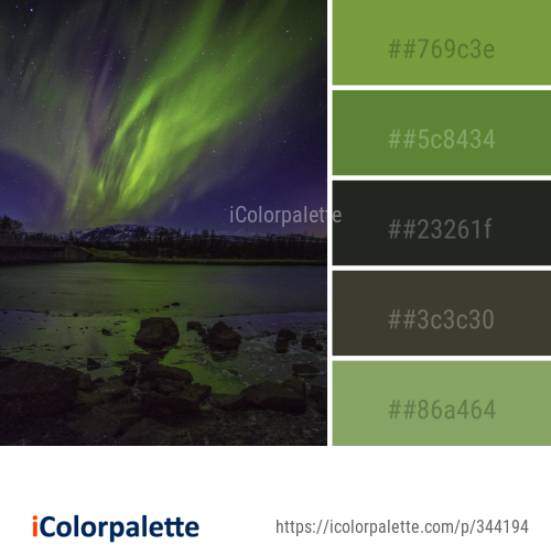 50+ Aurora Color Palette ideas in 2025 | iColorPalette