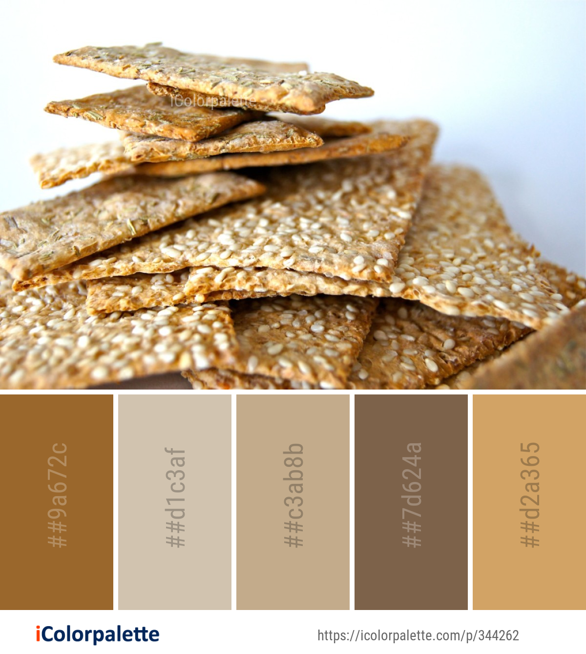 Color Palette Ideas from Cracker Whole Grain Food Image | iColorpalette