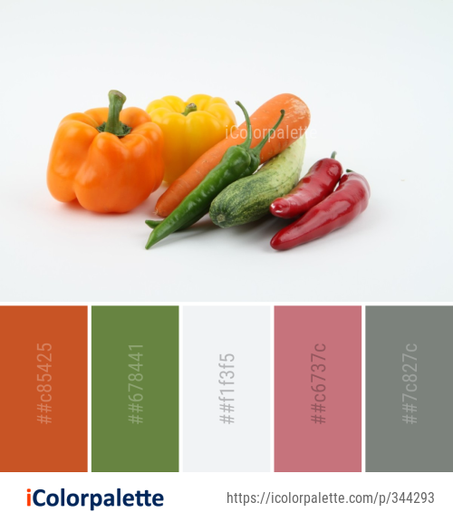 Color Palette Ideas from Natural Foods Vegetable Produce Image ...