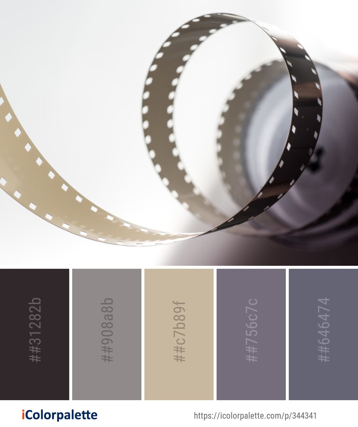 132+ Circle Color Palette ideas in 2025 | iColorPalette