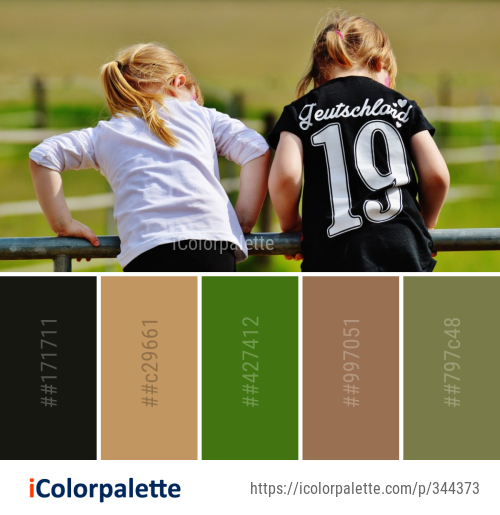 7+ Sports Color Palette ideas in 2025 | iColorPalette