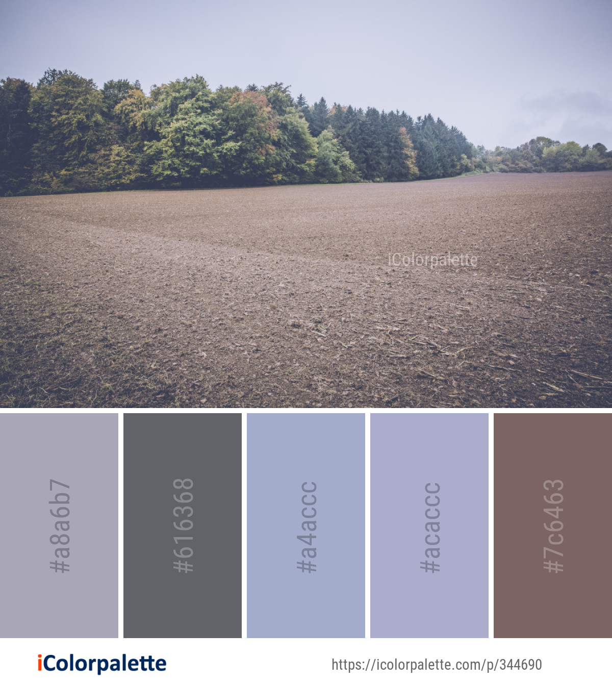Color Palette Ideas from Sky Road Field Image | iColorPalette