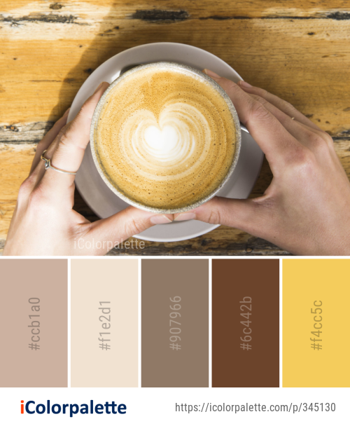 19 Espresso Color Palette ideas in 2025 | iColorpalette