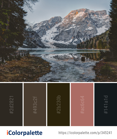 Color Palette Ideas from Nature Wilderness Reflection Image | iColorpalette
