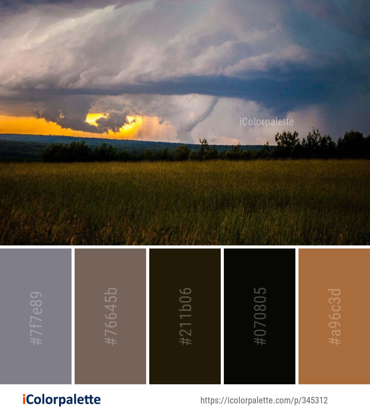 250+ Plain Color Palette ideas in 2026 | iColorPalette