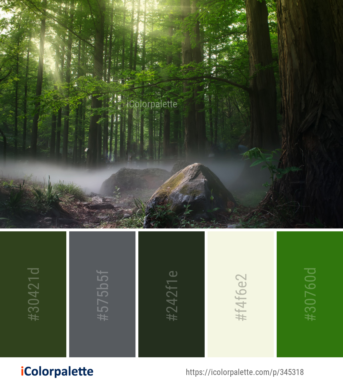 Color Palette Ideas from Nature Water Forest Image | iColorpalette