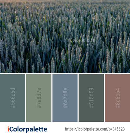 Hand Picked Best Color Palettes Collection