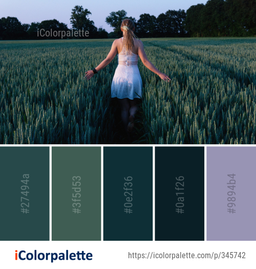 Hand Picked Best Color Palettes Collection