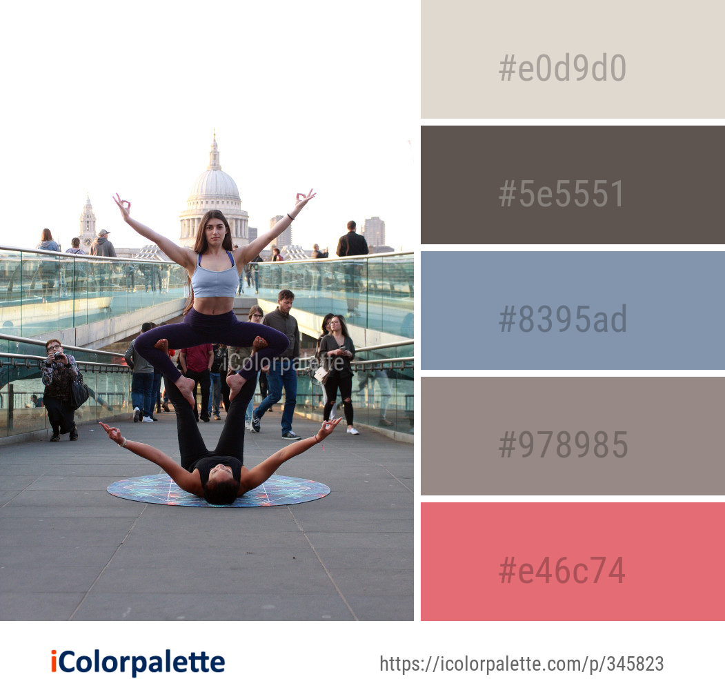 12+ Physical Fitness Color Palette ideas in 2025 | iColorPalette