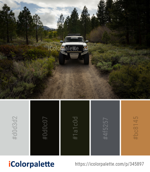 Color Palette Ideas from Road Car Off Roading Image | iColorpalette