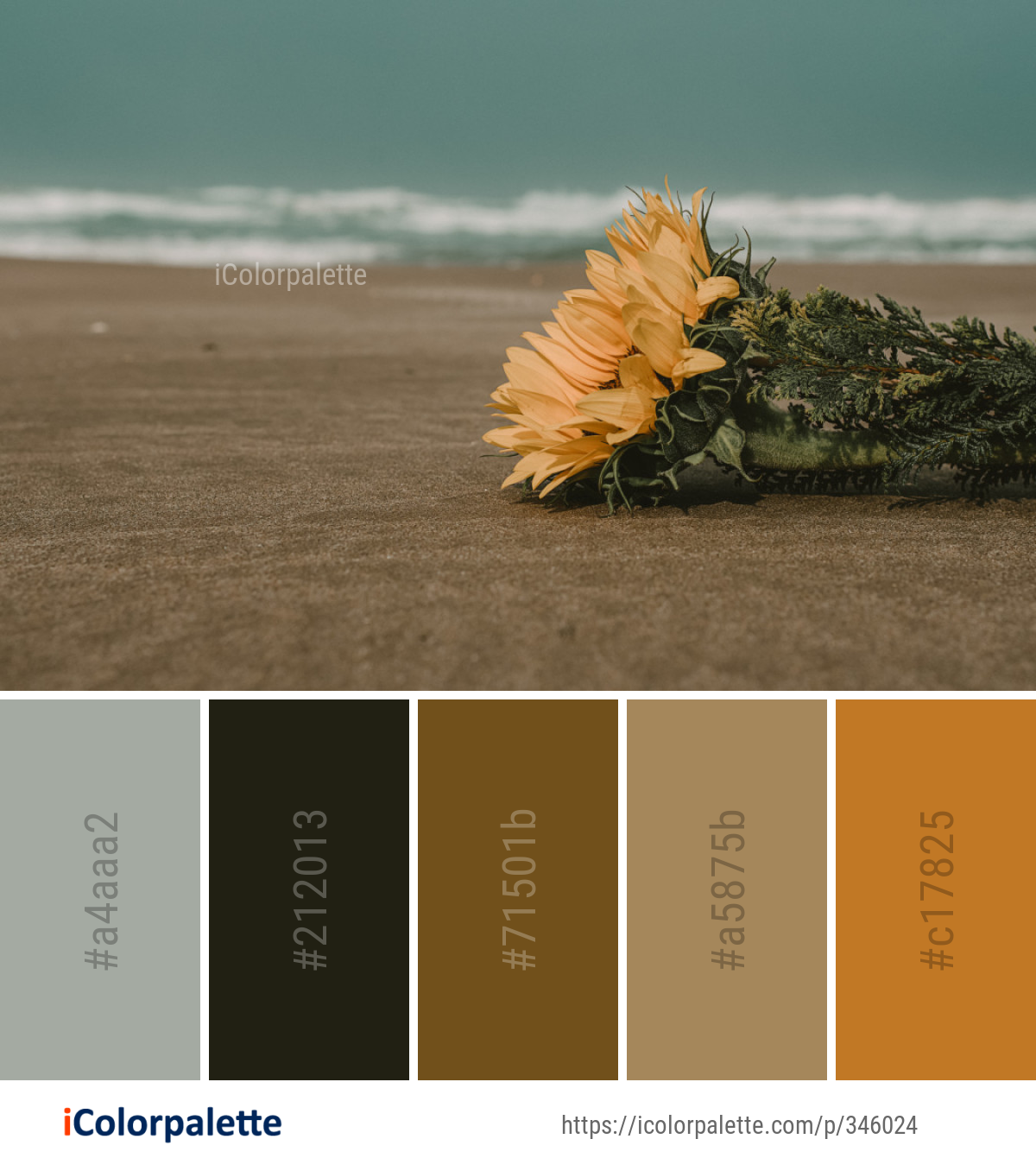Color Palette Ideas from Yellow Flower Sky Image | iColorpalette