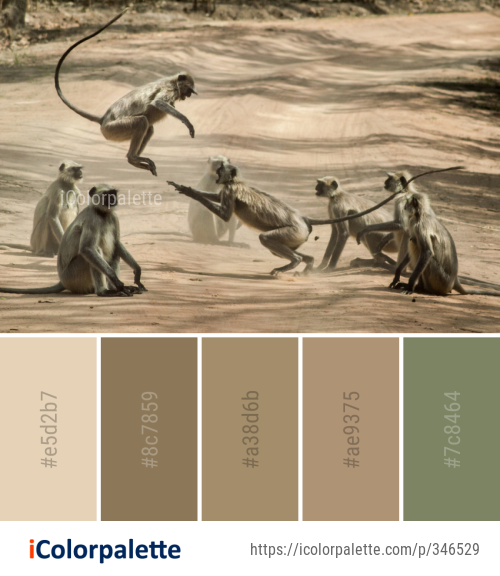 Hand Picked Best Color Palettes Collection