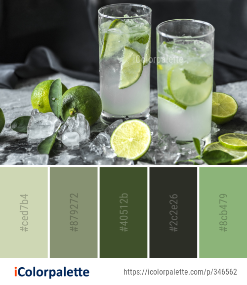 Hand Picked Best Color Palettes Collection