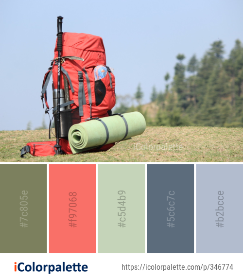 Color Palette Ideas from Personal Protective Equipment Grass Product ...