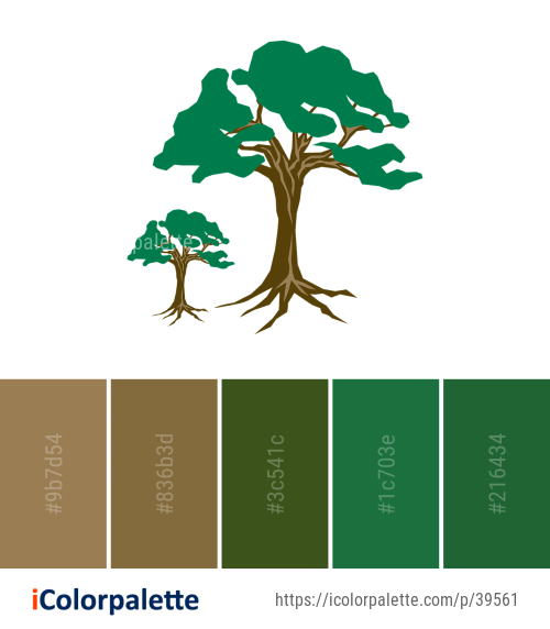 Color Palette Ideas from Tree Woody Plant Image | iColorpalette