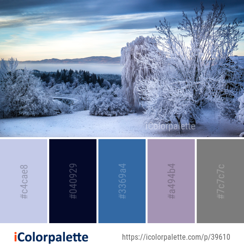 Color Palette Ideas from Winter Snow Sky Image | iColorpalette
