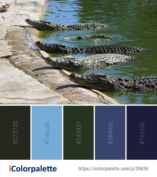 Color Palette Ideas from Crocodilia Alligator Water Image | iColorpalette