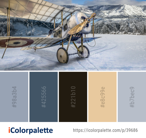 Color Palette Ideas from Snow Winter Ice Image | iColorpalette