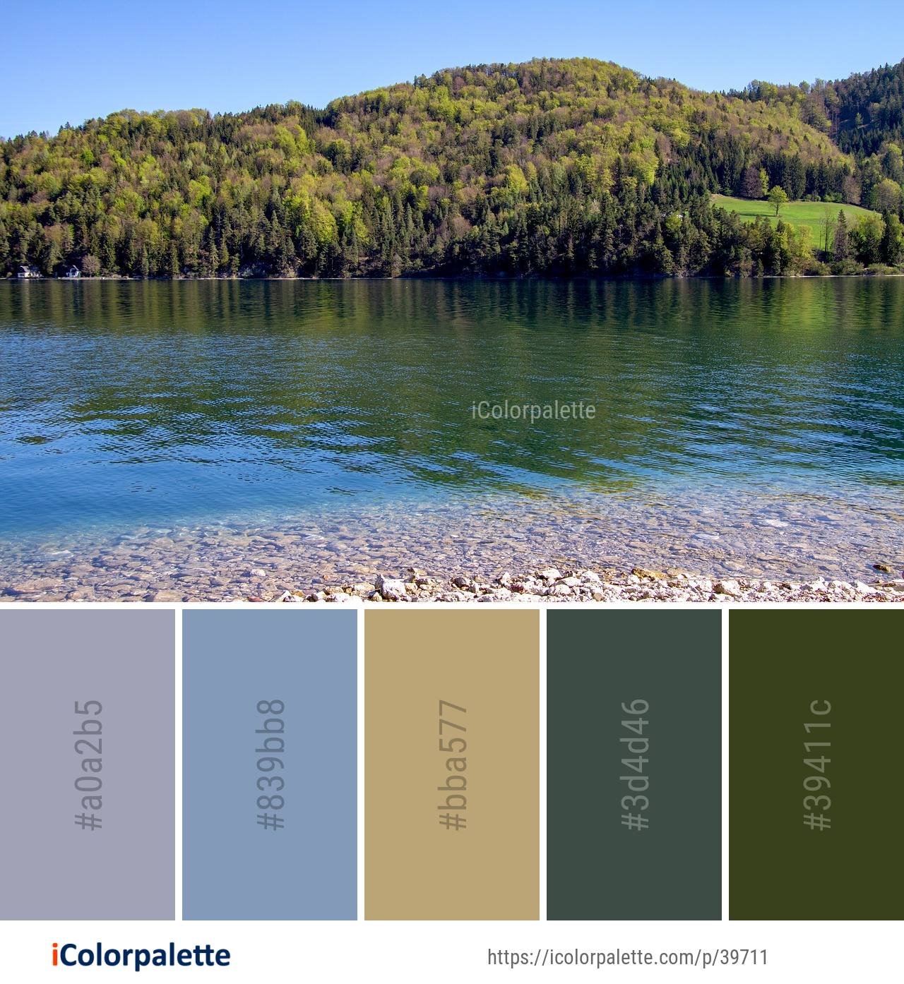 Color Palette Ideas from Water Lake Nature Image | iColorpalette