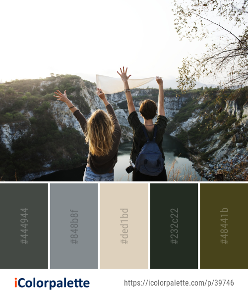 Color Palette Ideas from Photograph Tree Photography Image | iColorpalette