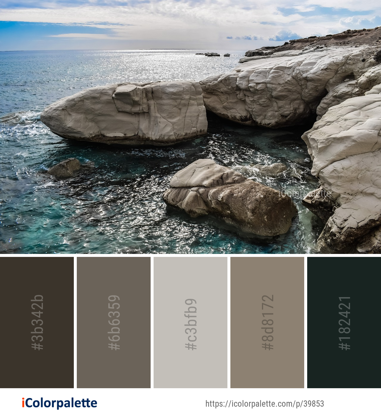 Color Palette Ideas from Sea Coast Body Of Water Image | iColorpalette