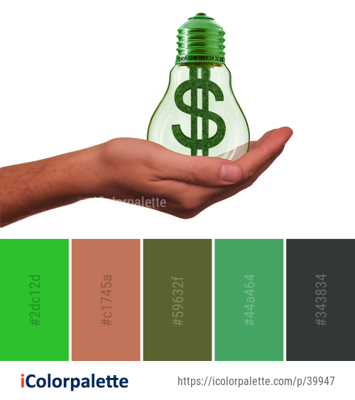 Color Palette Ideas from Green Product Hand Image | iColorpalette