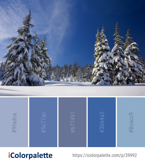 Color Palette Ideas from Winter Snow Blue Image | iColorpalette