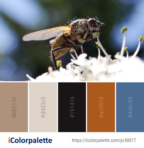 Color Palette Ideas from Insect Bee Pest Image | iColorpalette