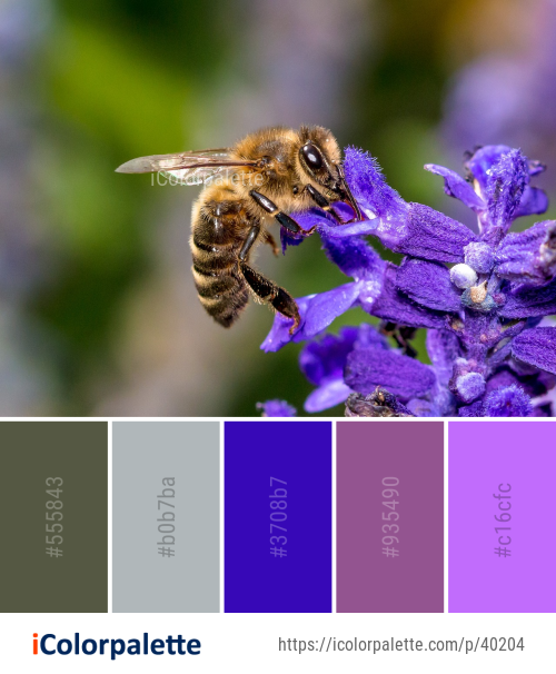 Color Palette Ideas from Honey Bee Insect Image | iColorpalette
