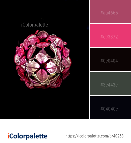Color Palette Ideas from Pink Jewellery Magenta Image | iColorpalette
