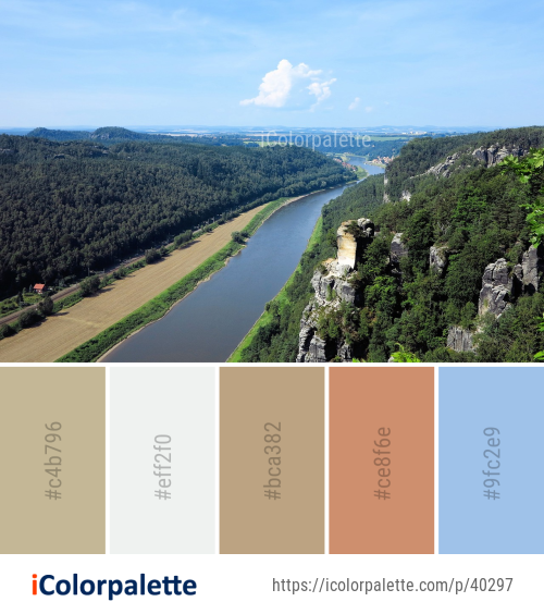 Color Palette Ideas from River Waterway Wilderness Image | iColorpalette