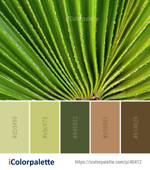 Color Palette Ideas from Leaf Green Vegetation Image | iColorpalette
