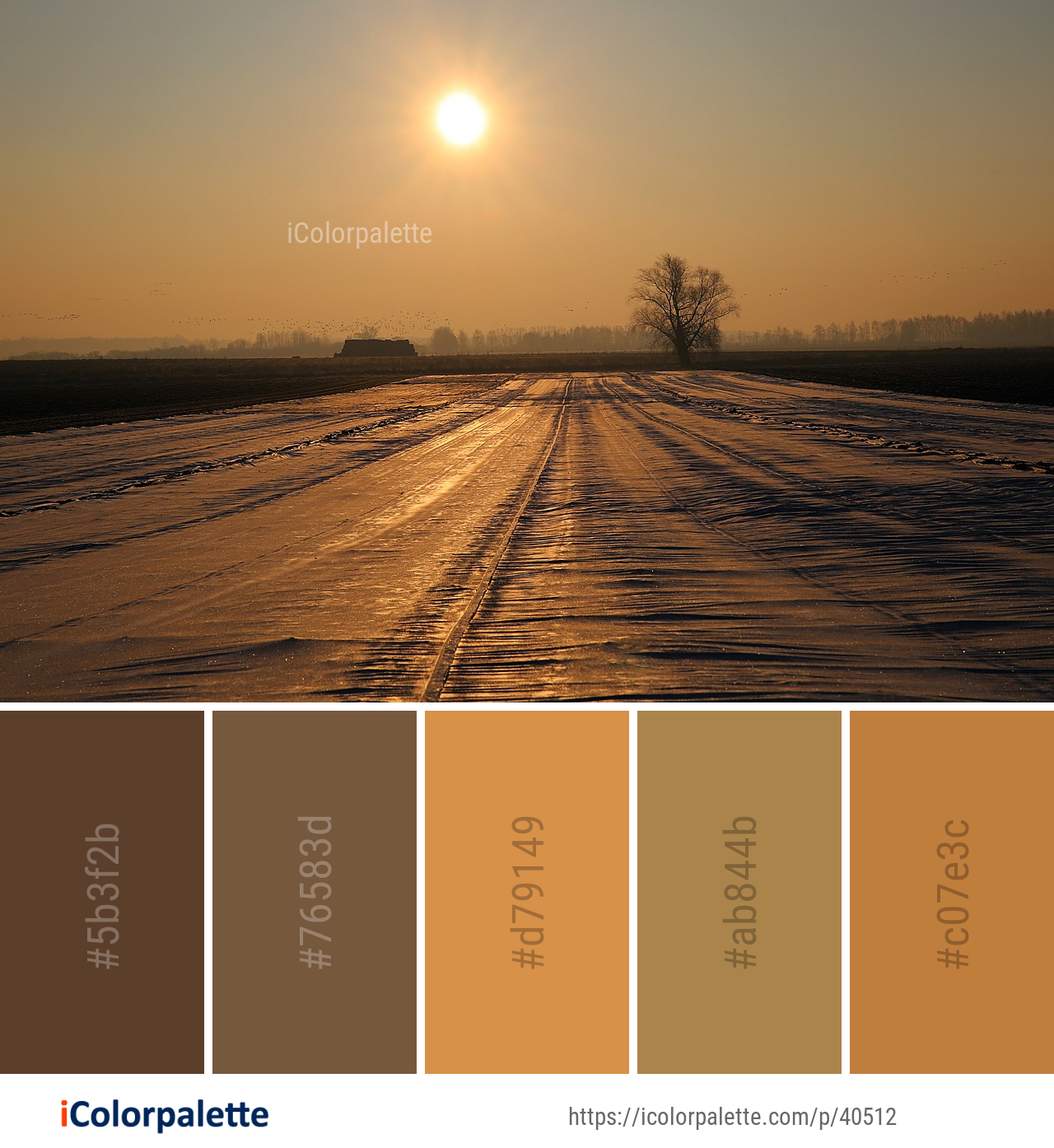 Color Palette Ideas from Sky Horizon Snow Image | iColorpalette