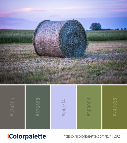 Color Palette Ideas from Hay Field Sky Image | iColorpalette