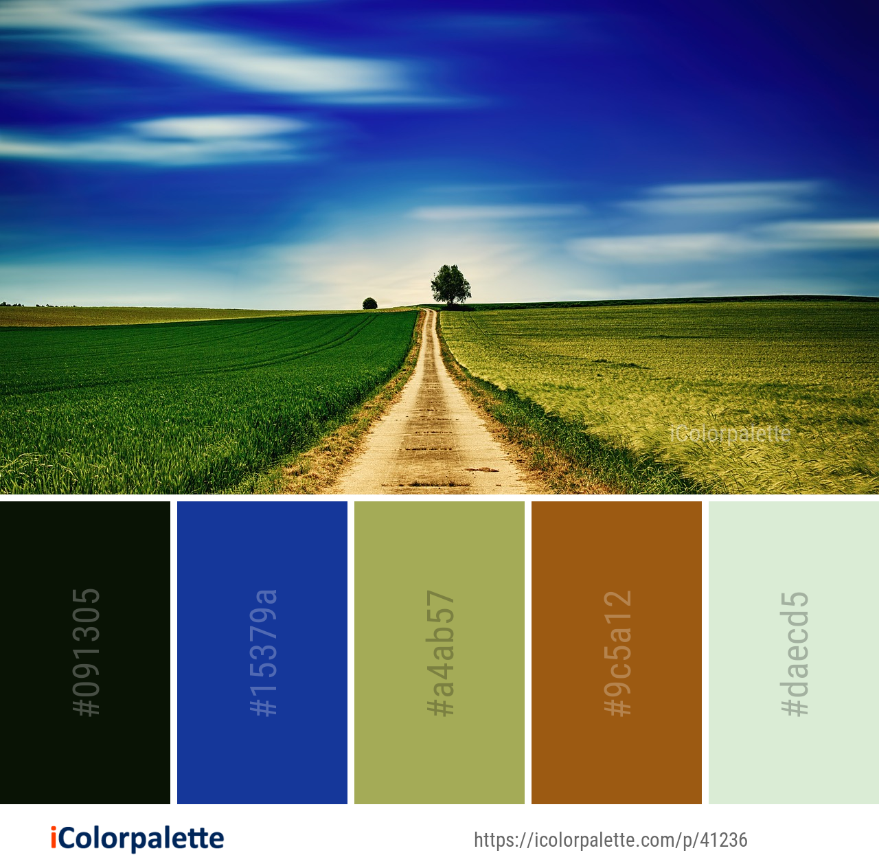 Color Palette Ideas from Sky Grassland Field Image | iColorpalette