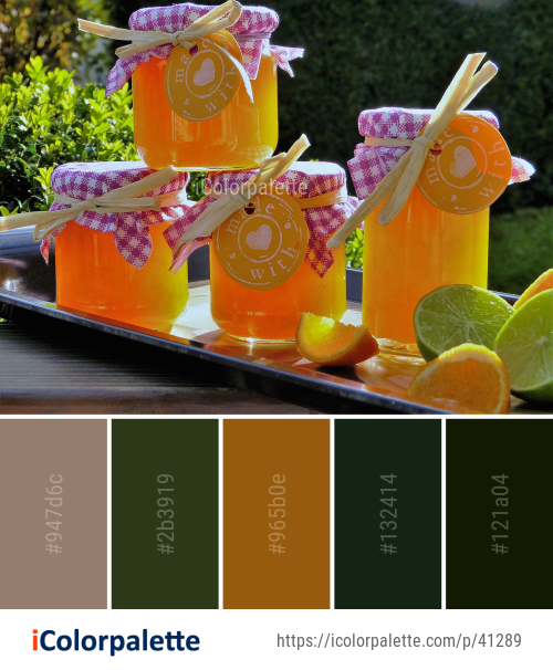 Color Palette Ideas from Drink Orange Juice Image | iColorpalette