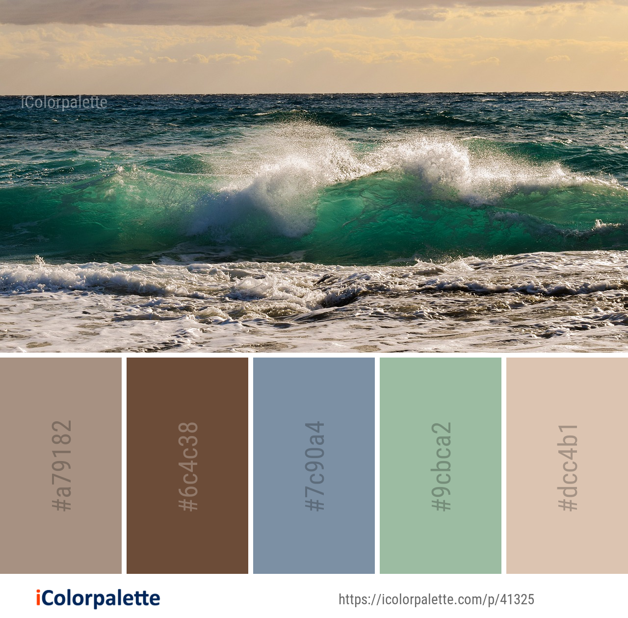 Color Palette Ideas from Sea Wave Ocean Image | iColorpalette