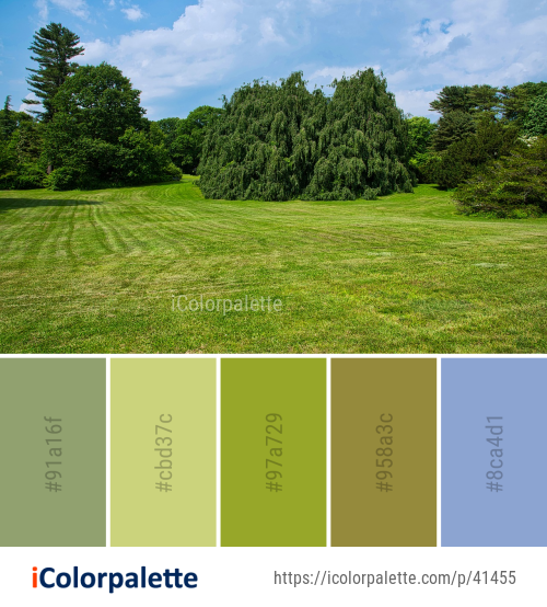 Color Palette Ideas from Grassland Vegetation Ecosystem Image ...