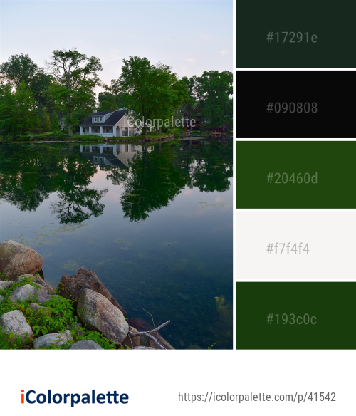 Color Palette Ideas from Reflection Water Nature Image | iColorpalette