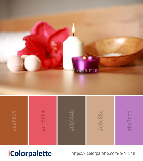 6+ Candle Color Palette ideas in 2025 | iColorPalette