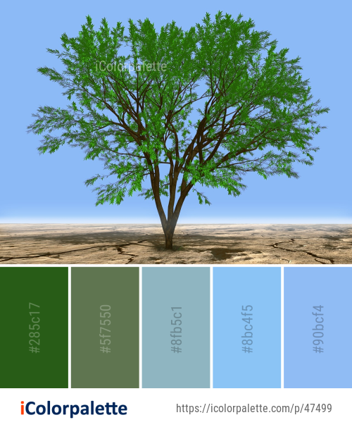 Color Palette Ideas from Tree Vegetation Woody Plant Image | iColorPalette