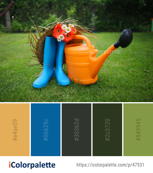 Color Palette Ideas from Grass Plant Lawn Image | iColorPalette